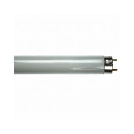 CLIPSAL TL36/54 36W FLUORESCENT TUBE DAY LIGHT