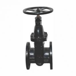 MS GATE VALVE 4”